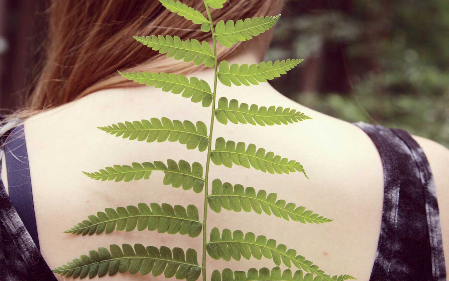 Love and Light Ireland | Spinal Energetics, Spinal Flow and Holistic ...